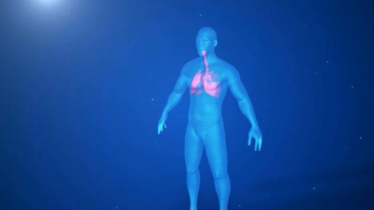 Emphysematous Changes: A Comprehensive Guide to Understanding ...