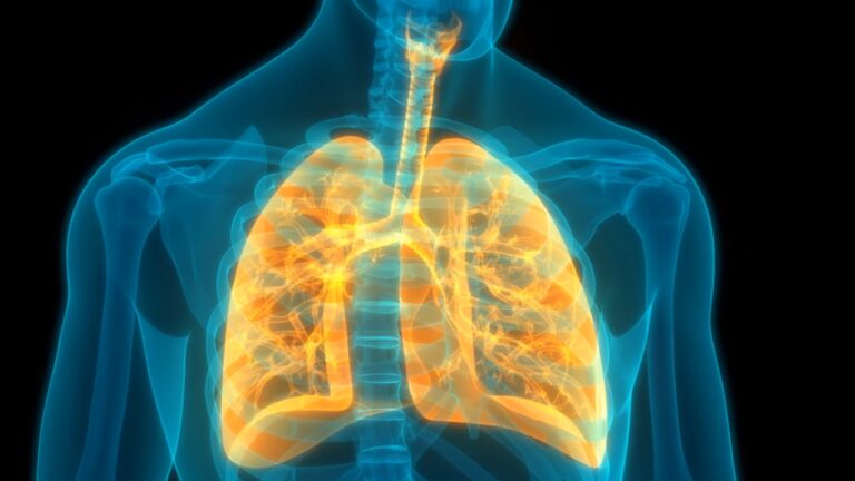 Emphysematous Changes: A Comprehensive Guide to Understanding ...