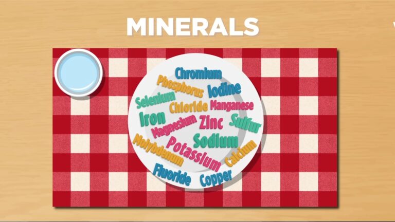 Introduction to Long-Term Acute Care (LTAC): Unlocking the Secrets